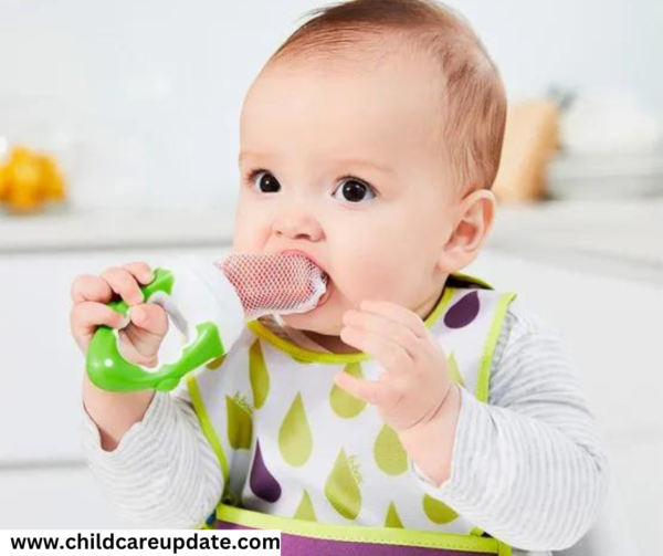 Best Baby Food Feeders In 2022 - Childcare Updates